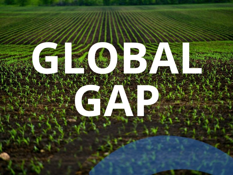 Global GAP - Gestión Total Corporativa