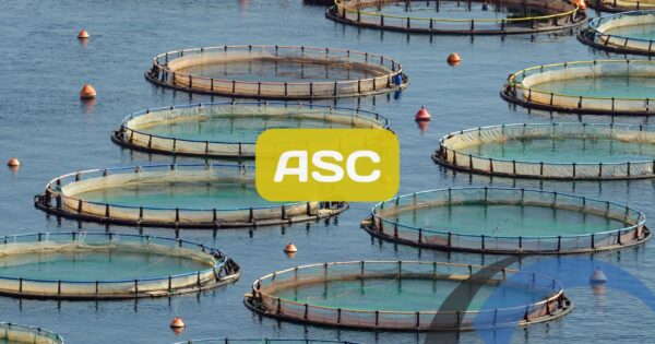 Implementar ASC - Gestión Total Corporativa