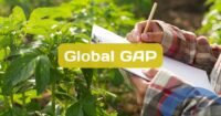 Certificación Global GAP - Gestión Total Corporativa